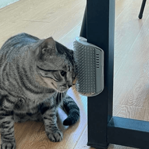 Aussiepetstuff™ - Australia's Best Pet Stuff Provider – Aussie Pet Stuff